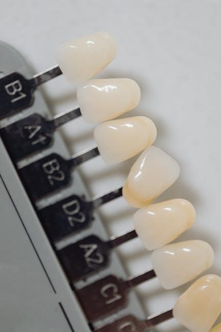2024 BC Dental Fee Guide | Updated Canada Dental Fees